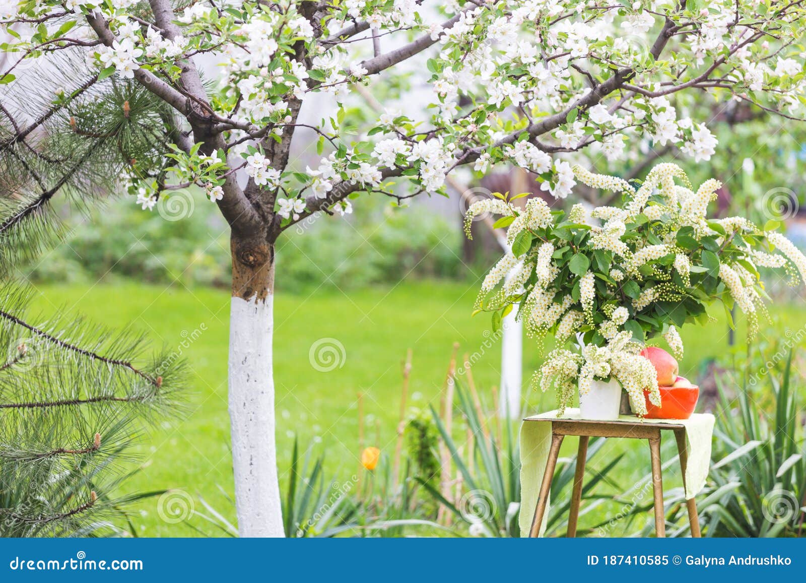 Spring garden stock image. Image of park, flora, domestic - 187410585