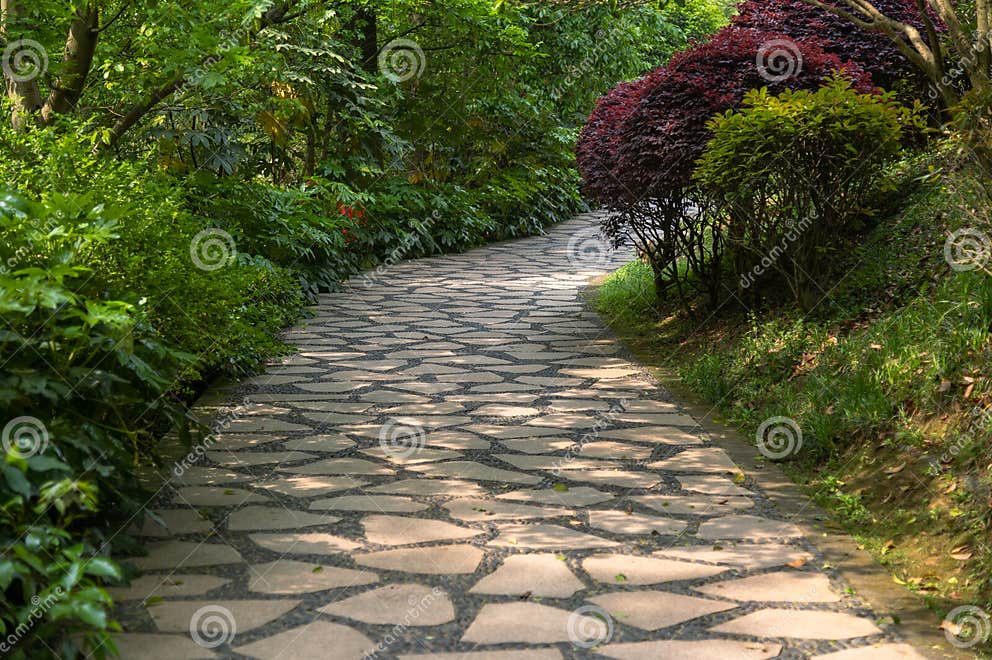 Spring garden path stock photo. Image of beauty, garden - 315257118