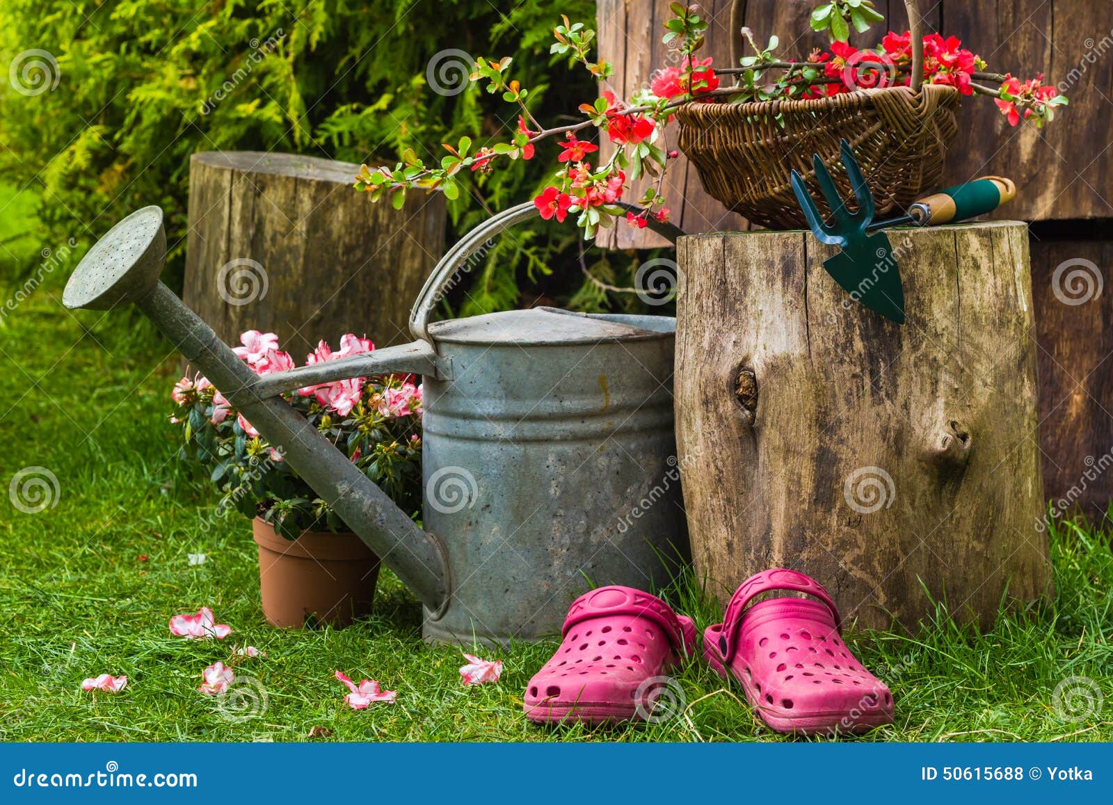 Spring Garden Tools Utensils Gardening Stock Photo - Image of plant ...