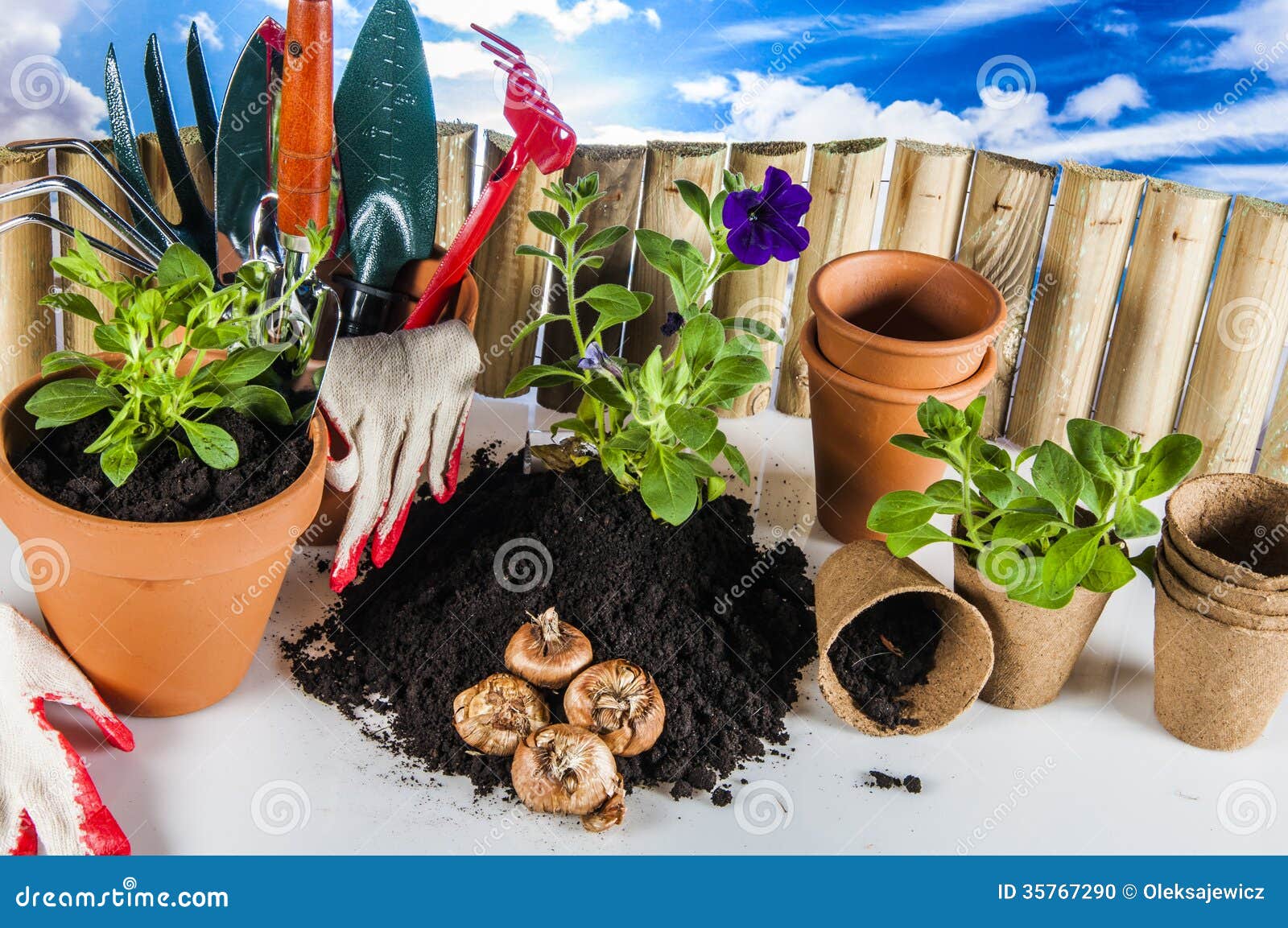 Spring garden work stock photo. Image of gardening, dirt - 35767290