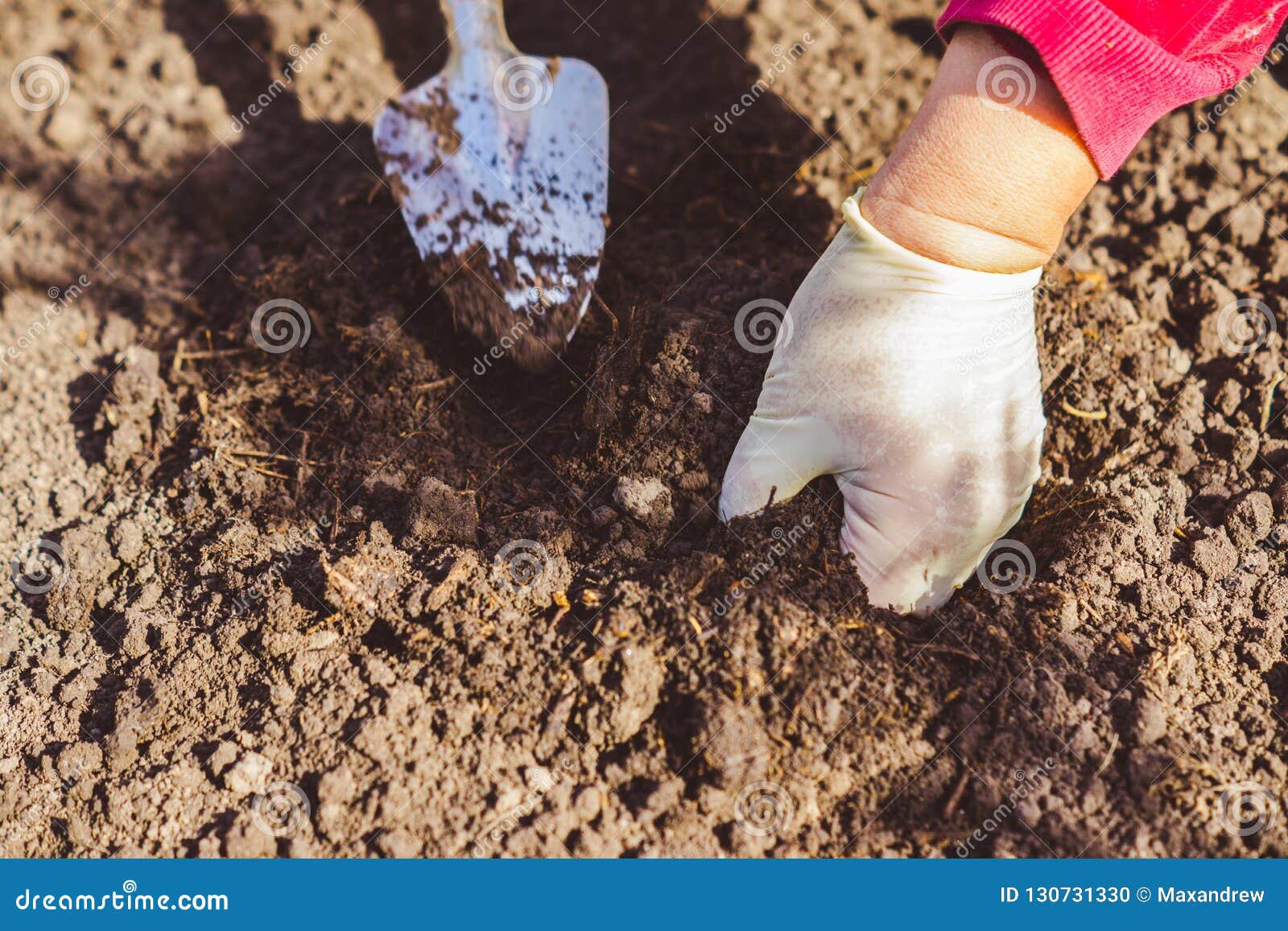 Spring garden work stock photo. Image of work, selective - 130731330