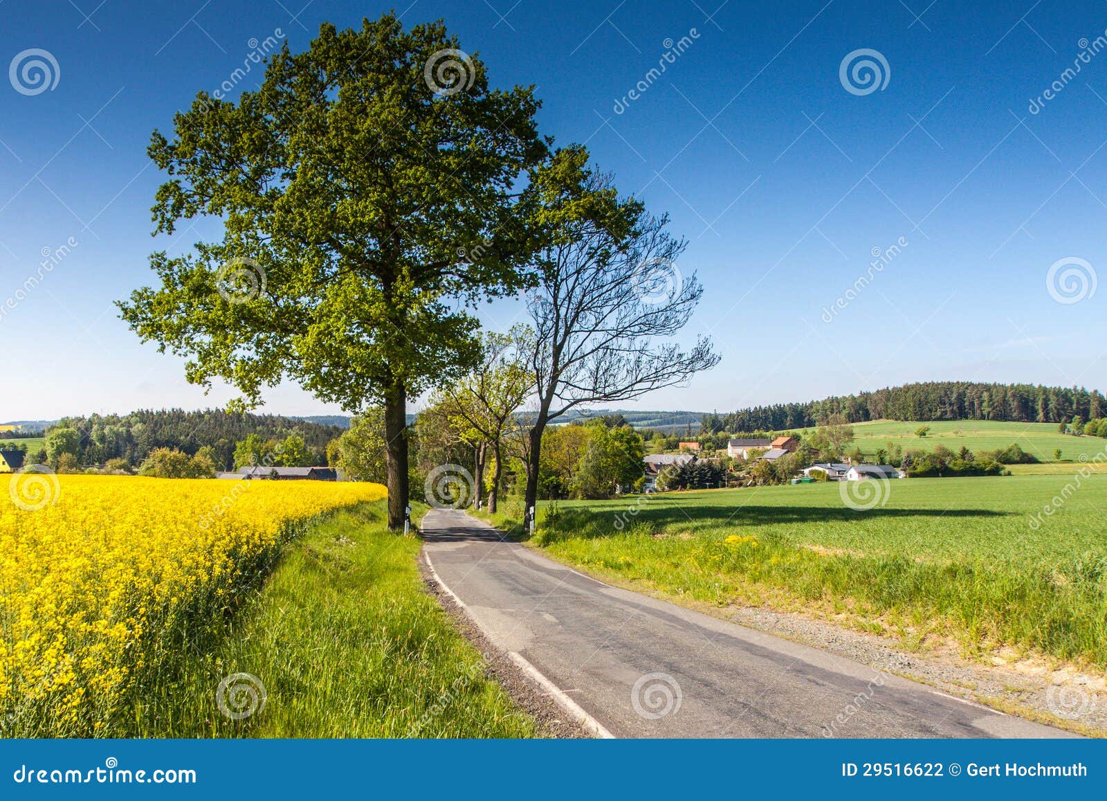 Spring in Germany stock photo. Image of country, light - 29516622