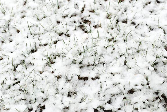 Spring going after winter stock photo. Image of outdoor - 73071060