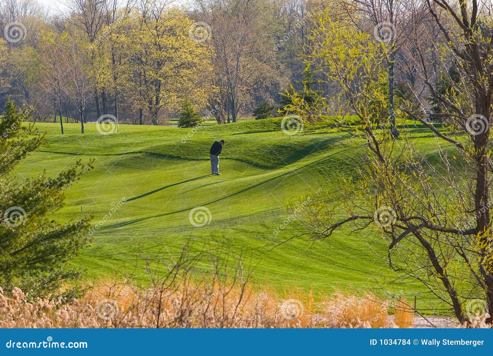 Spring golf stock photo. Image of trees, spring, grass - 1034784