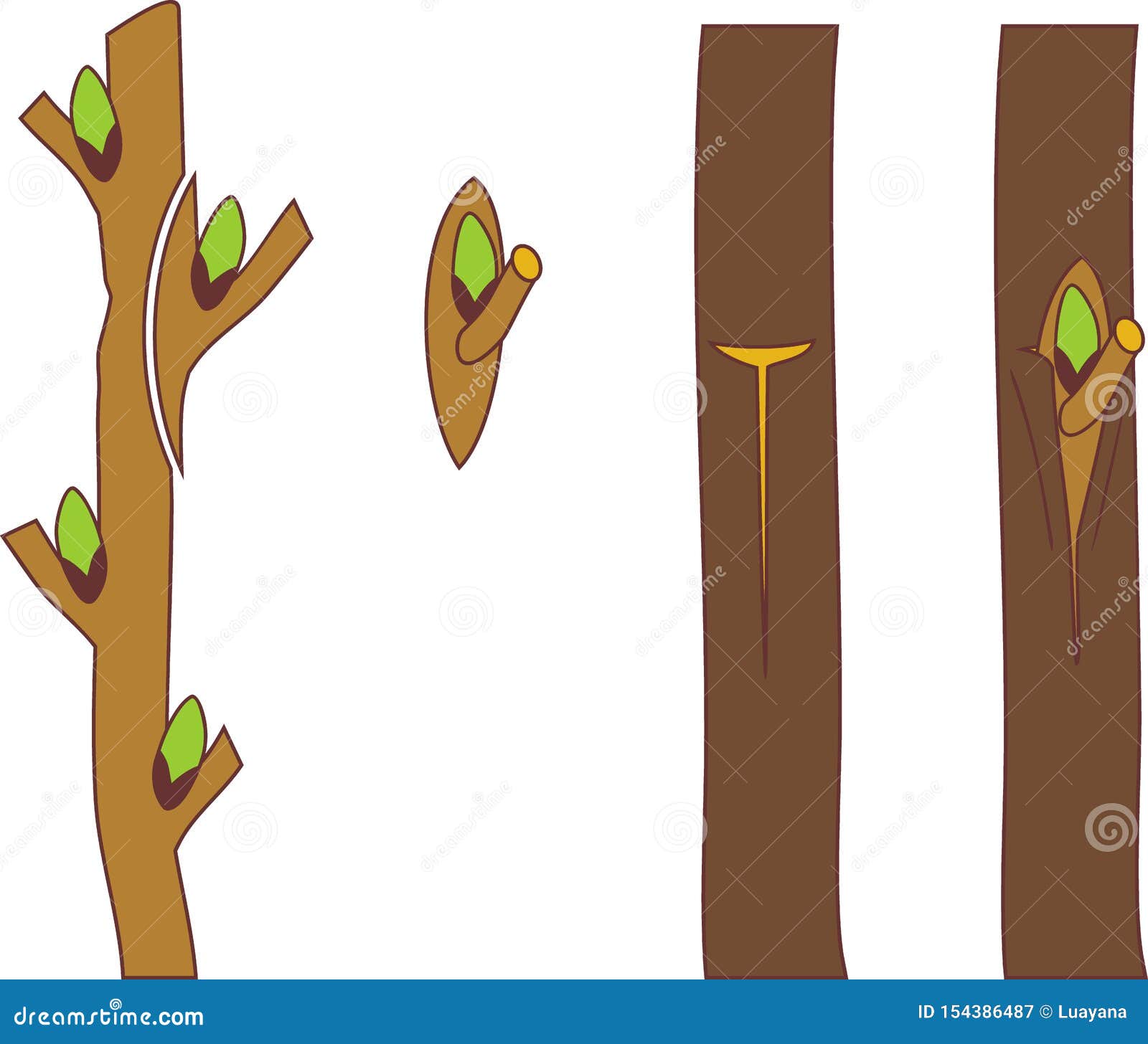 Budding Grafting, Vintage Illustration | CartoonDealer.com #163226512