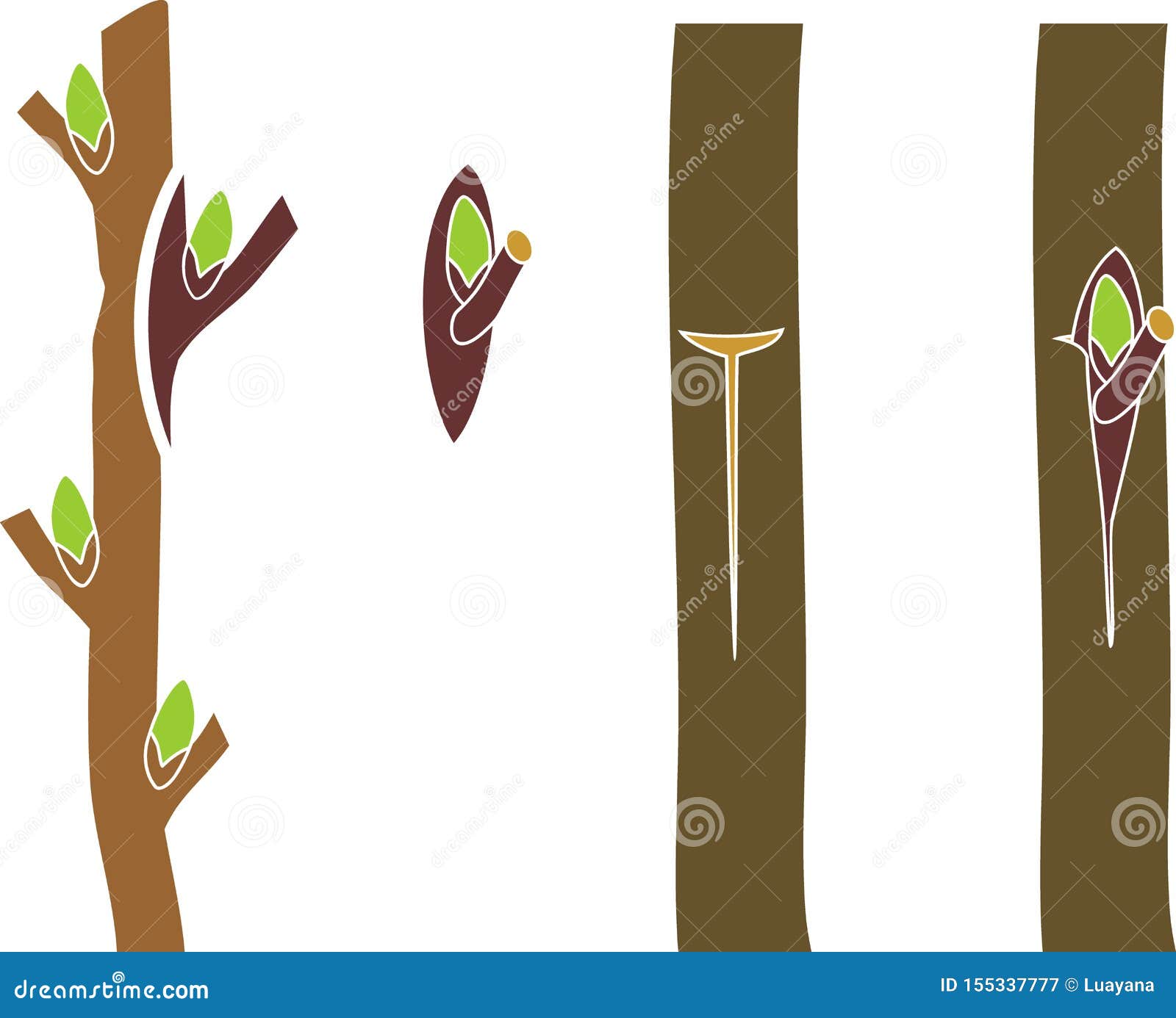 Budding Grafting, Vintage Illustration | CartoonDealer.com #163226512