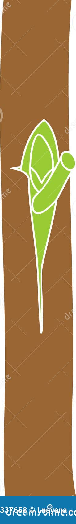 Budding Grafting, Vintage Illustration | CartoonDealer.com #163226512