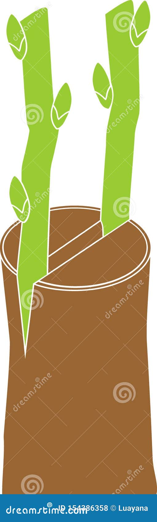 Cleft Grafting, Vintage Engraving Cartoon Vector | CartoonDealer.com ...