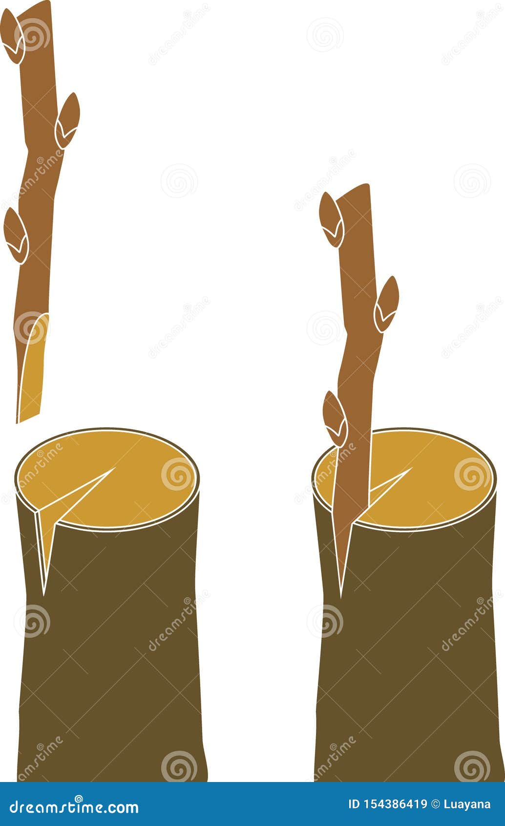 Spring Grafting Tree. Cartoon Vector | CartoonDealer.com #154386419