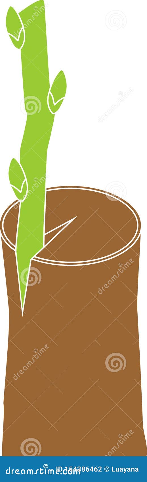 Cleft Grafting, Vintage Engraving Cartoon Vector | CartoonDealer.com ...