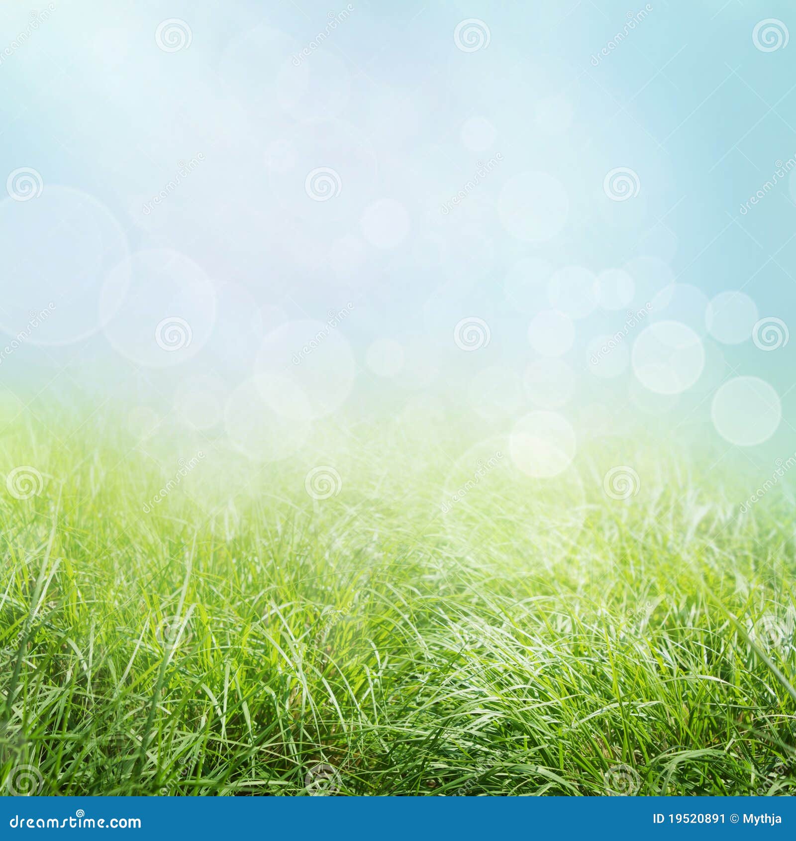 Spring grass stock image. Image of bright, abstract, colorful - 19520891