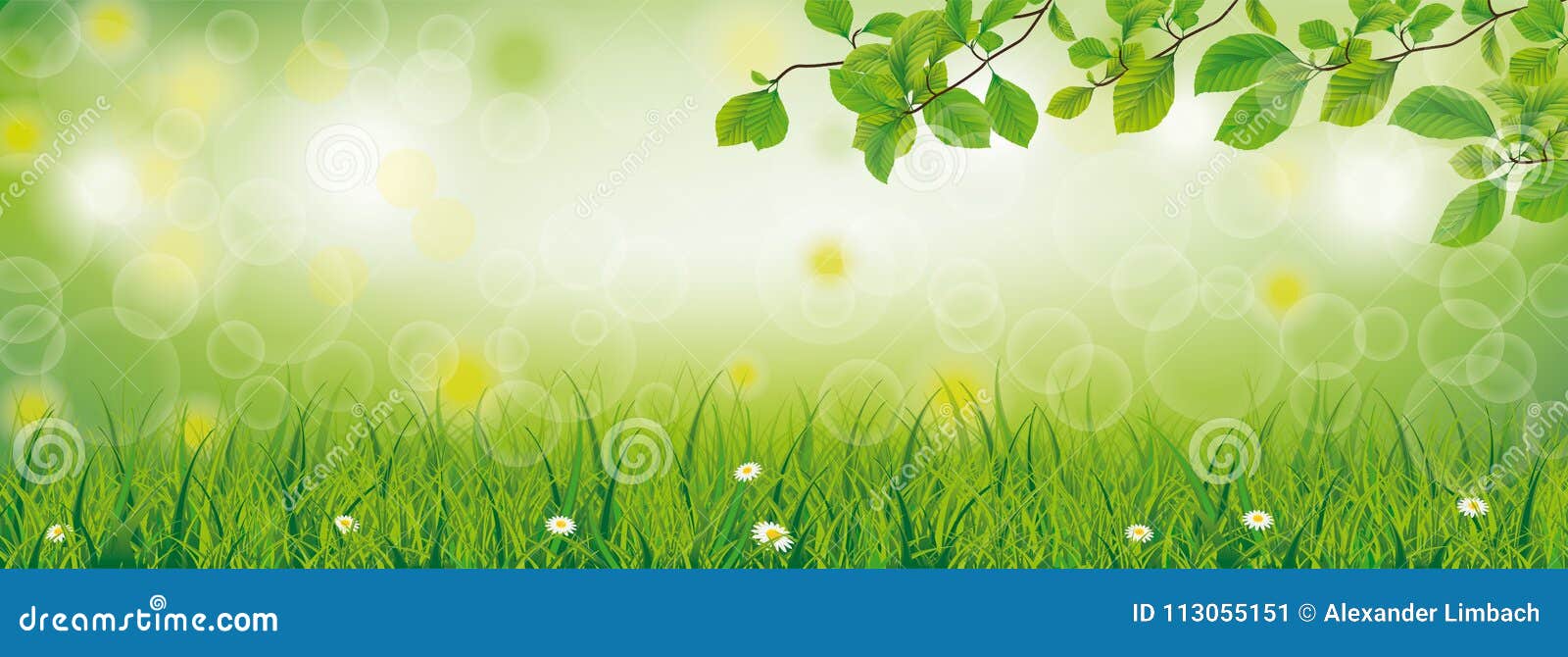 Beech Twigs Stock Illustrations – 95 Beech Twigs Stock Illustrations ...