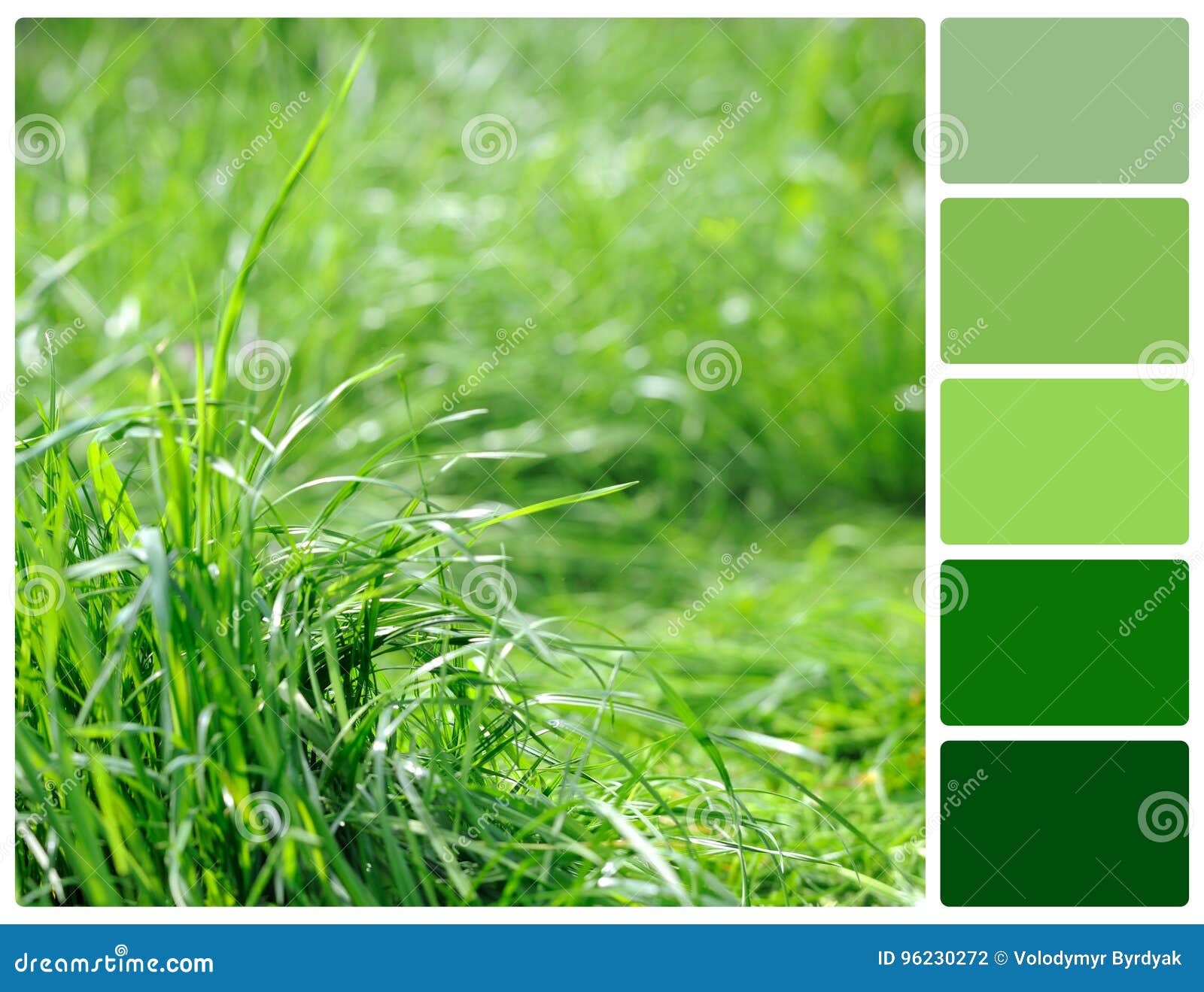Spring Grass with Palette Color Swatches Stock Photo - Image of element ...