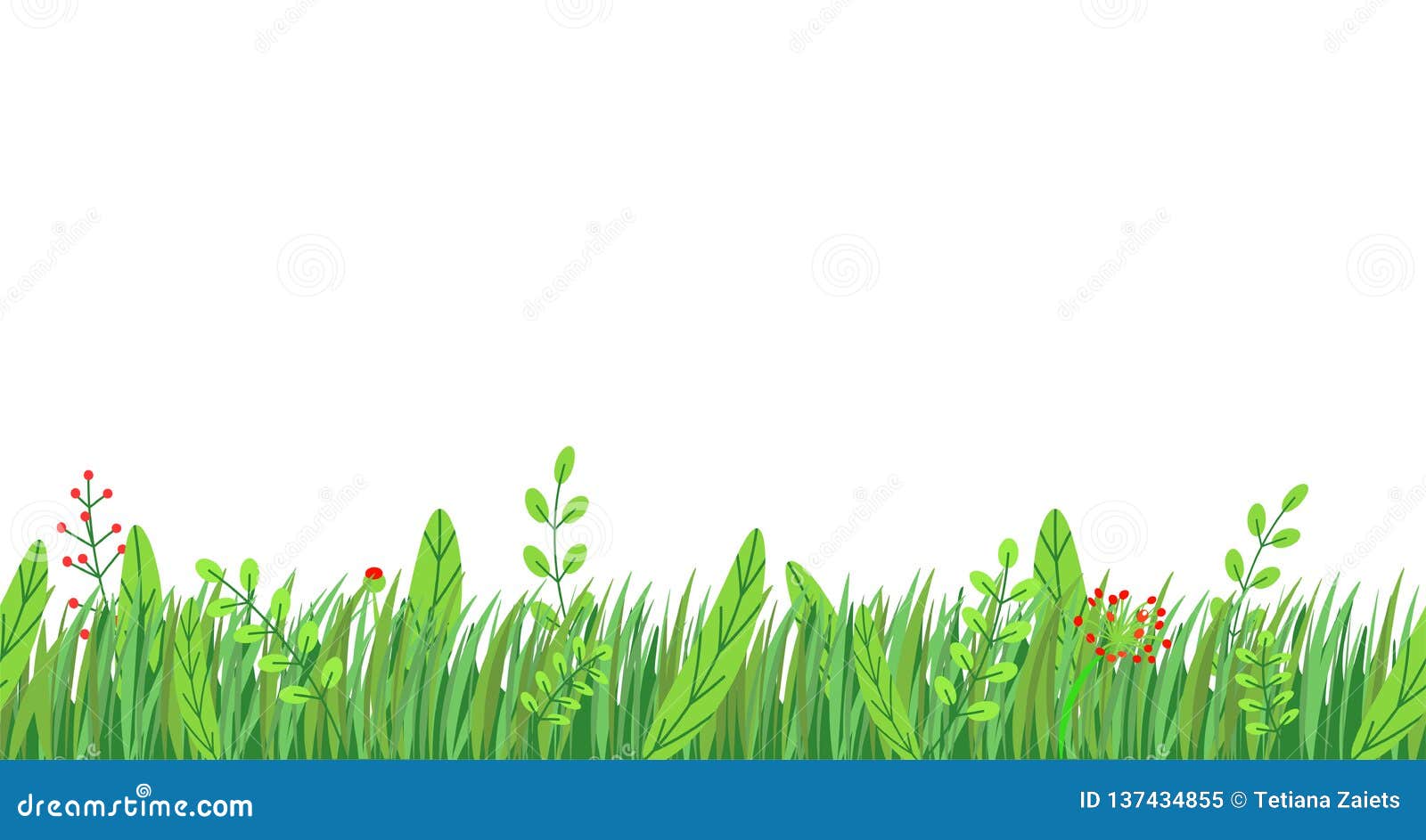 Spring Grass Seamless Border Vector. Floral Springtime Nature Plant ...