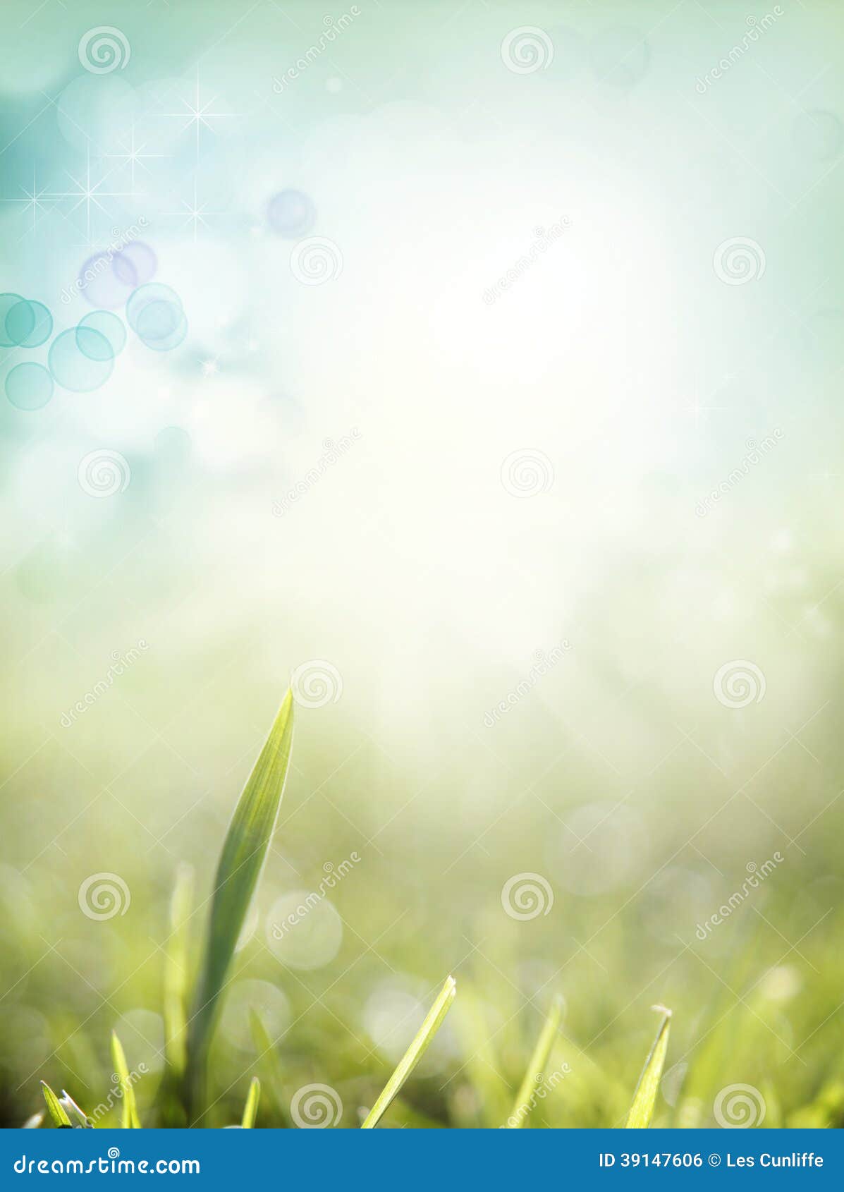 Spring stock photo. Image of grass, morning, pasture - 39147606