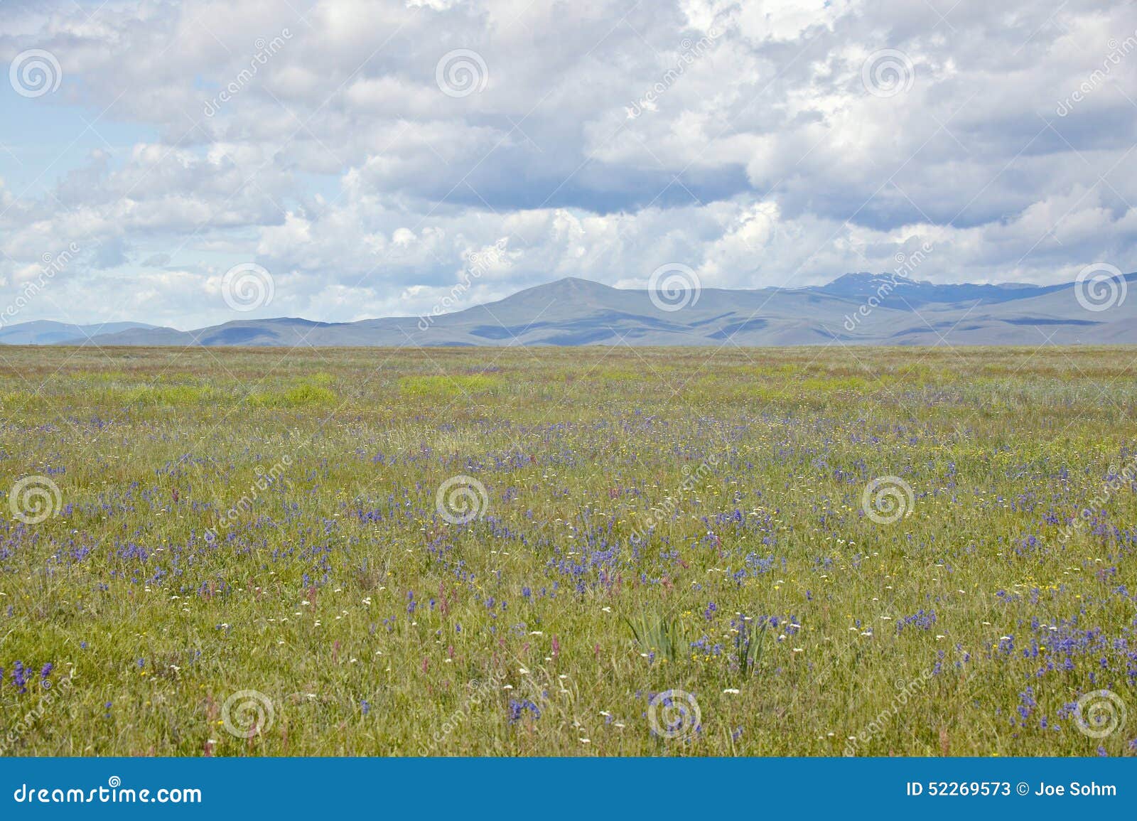 Spring Grasslands and Mountains in Centennial Valley Near Lakeview, MT ...