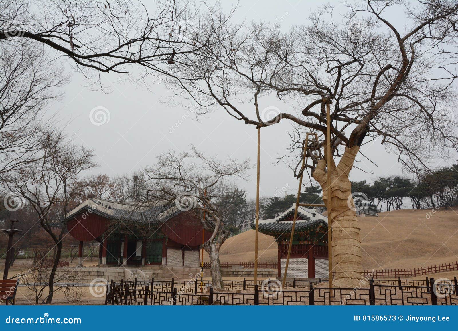 Spring stock image. Image of asia, landscapes, grass - 81586573