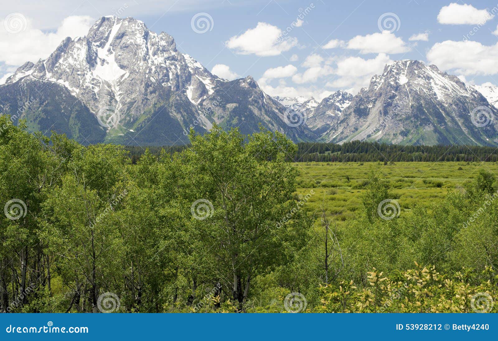 Spring Green Beneath Snow Capped Mountains. Stock Photo - Image of ...