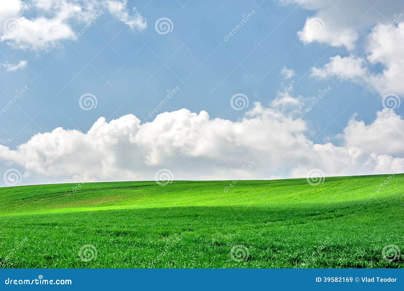 Spring Green Field and Blue Sky Stock Image - Image of natural, heavens ...