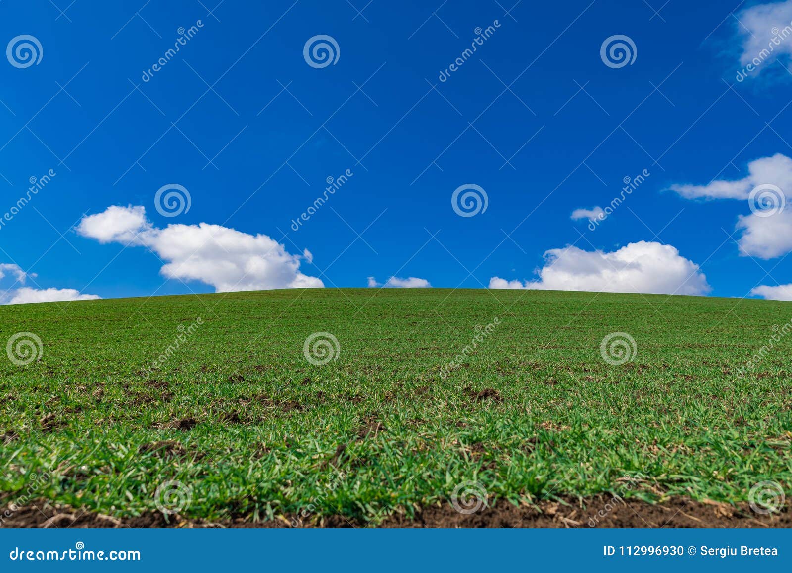 Spring Green Field Blue Sky Stock Photo - Image of wind, countryside ...