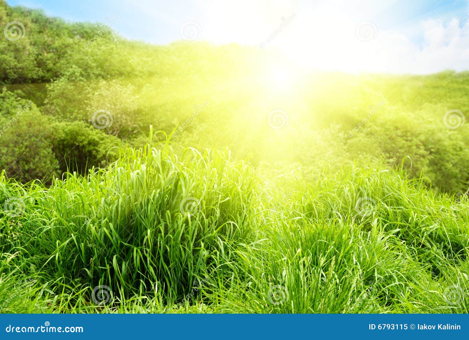 Spring green grass stock image. Image of sunlight, cloud - 6793115