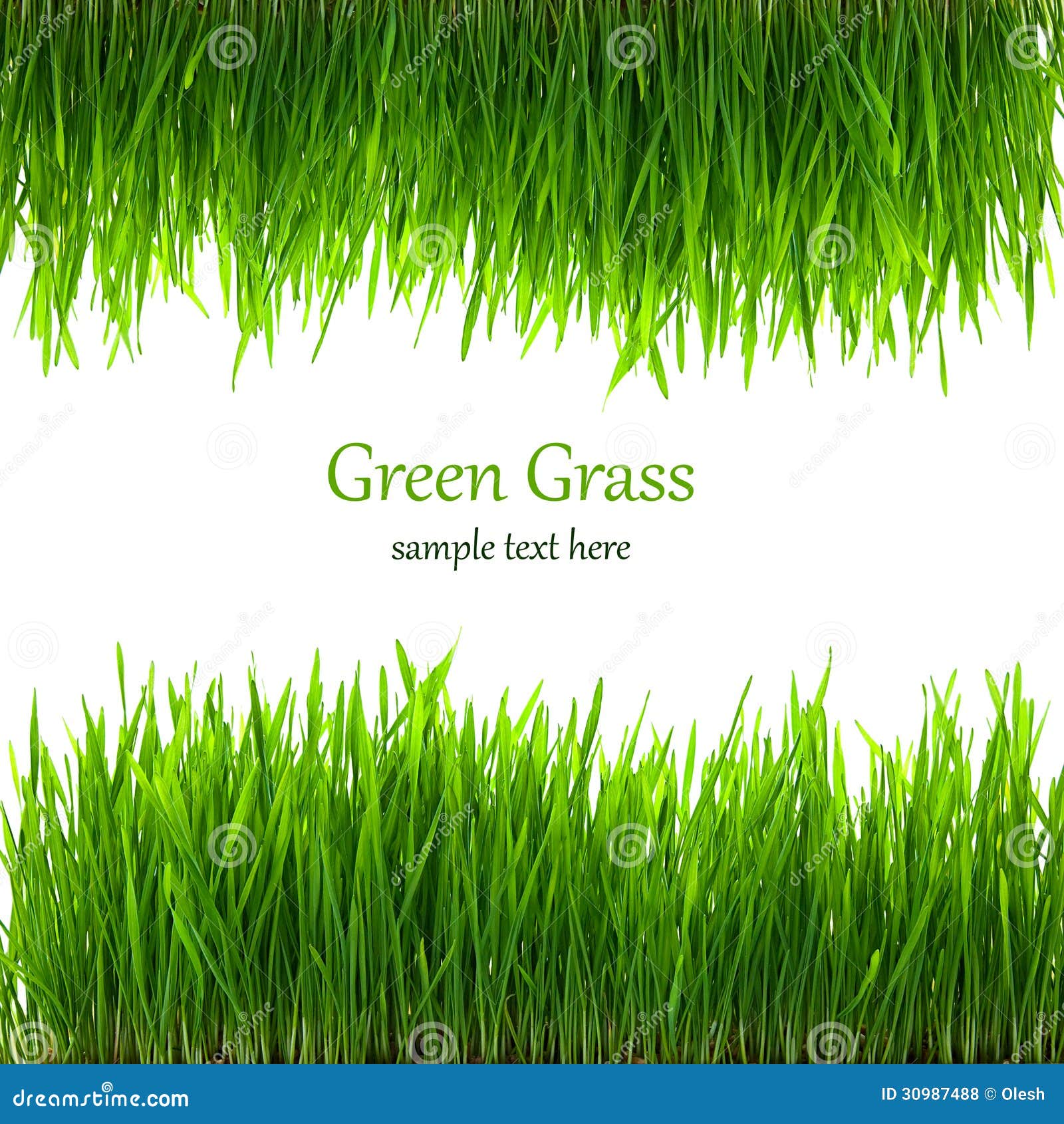 Spring Green Grass stock photo. Image of abstract, farm - 30987488