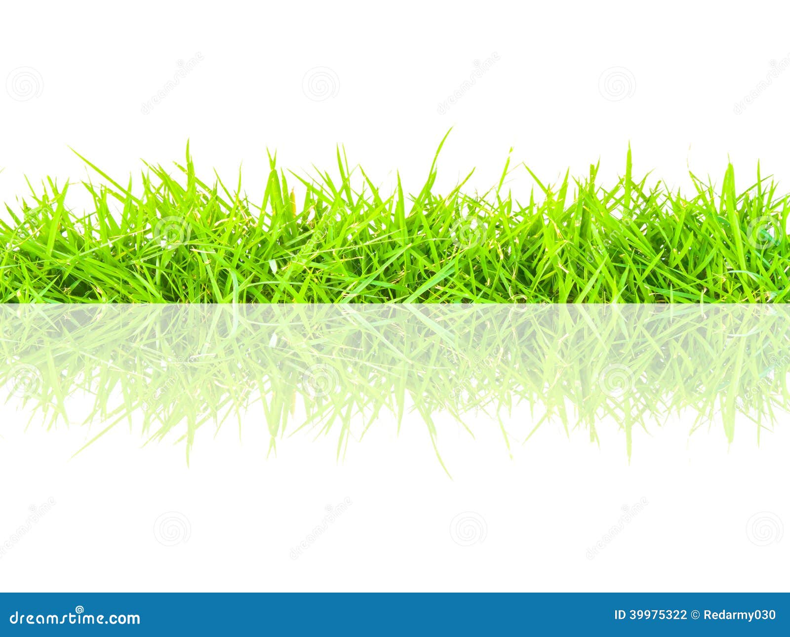 Spring Green Grass Seamless Border Stock Photo - Image of grass, plant ...