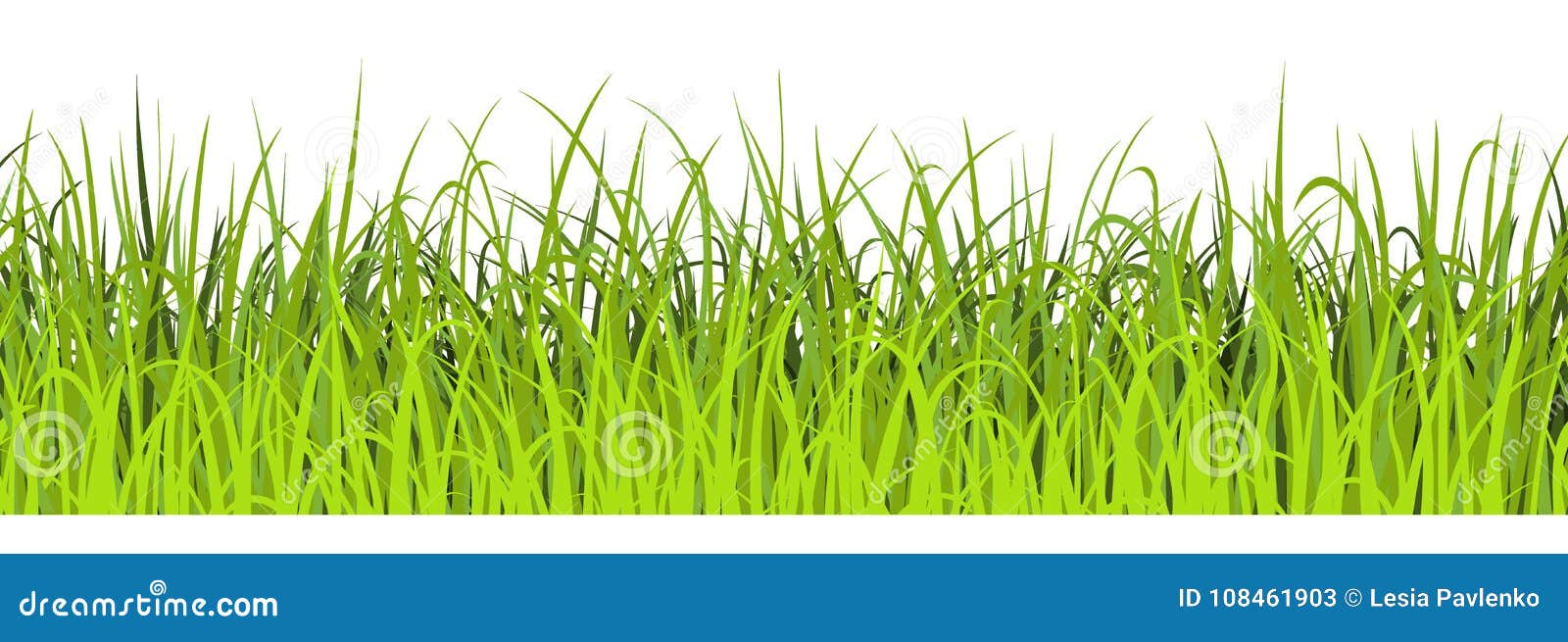 Spring Green Grass Seamless Illustration. Green Meadow Border Stock ...
