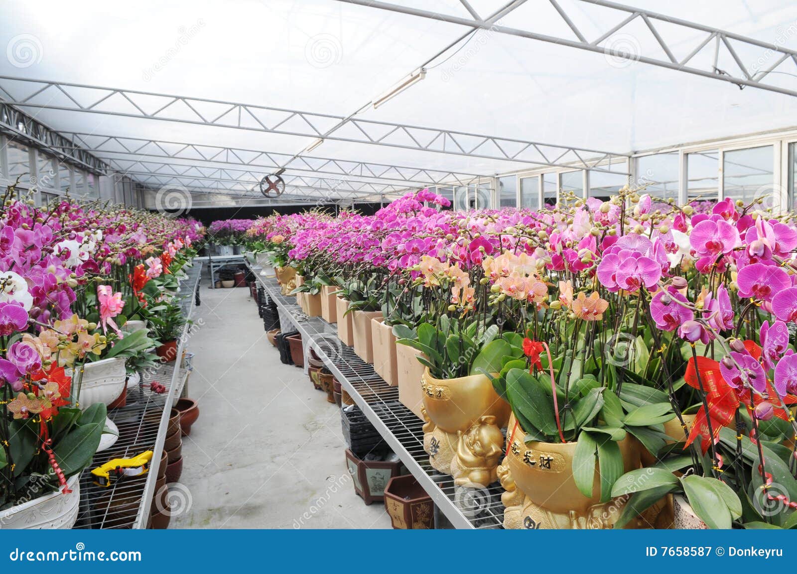 Spring green house stock image. Image of indoor, spacious - 7658587