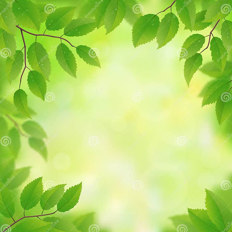 Spring green leaves stock vector. Illustration of background - 51641397