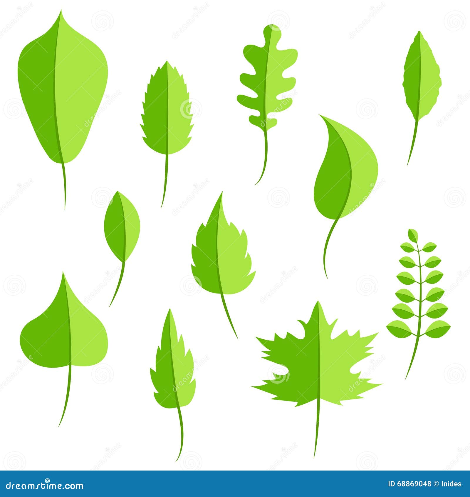 Spring Green Leaves in Flat Style Set Stock Vector - Illustration of ...