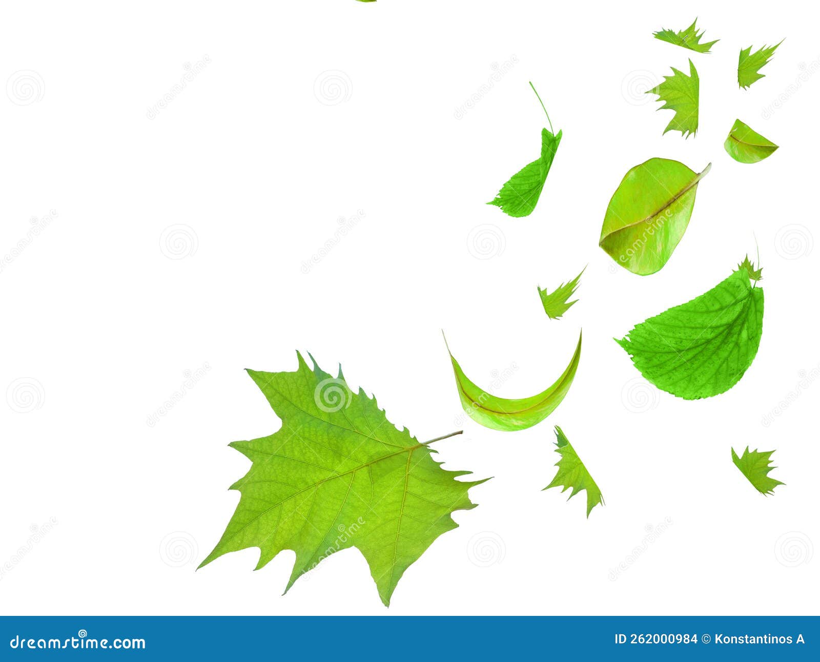 Spring Green Leaves Fresh Isolated Flying on the Air - 3d Rendering ...