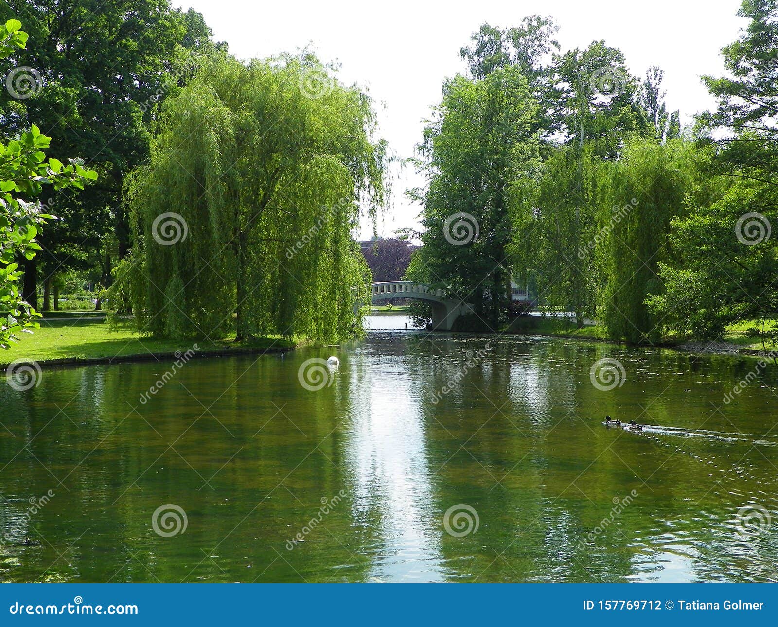 Spring Green Park with Lake, the Trees Stock Photo - Image of blooms ...