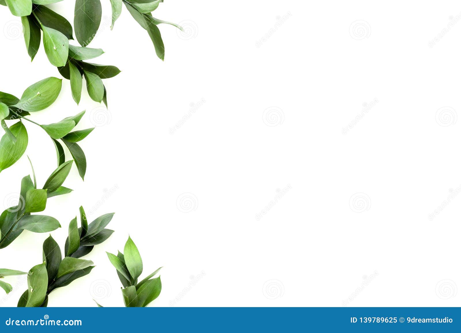 Spring Green Plants, Sprigs, Leaves Border on White Background Top View ...
