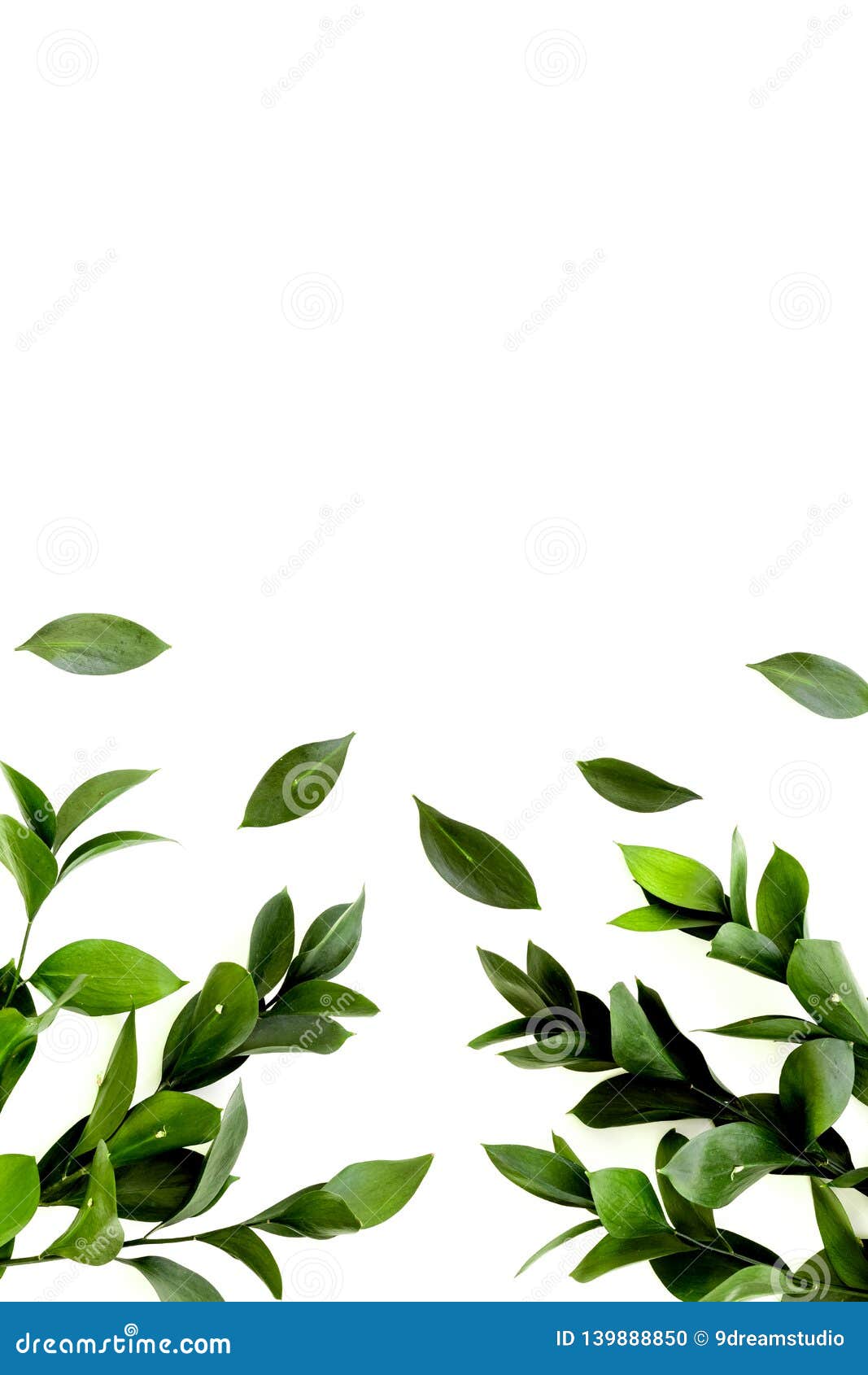 Spring Green Plants, Sprigs, Leaves Border on White Background Top View ...