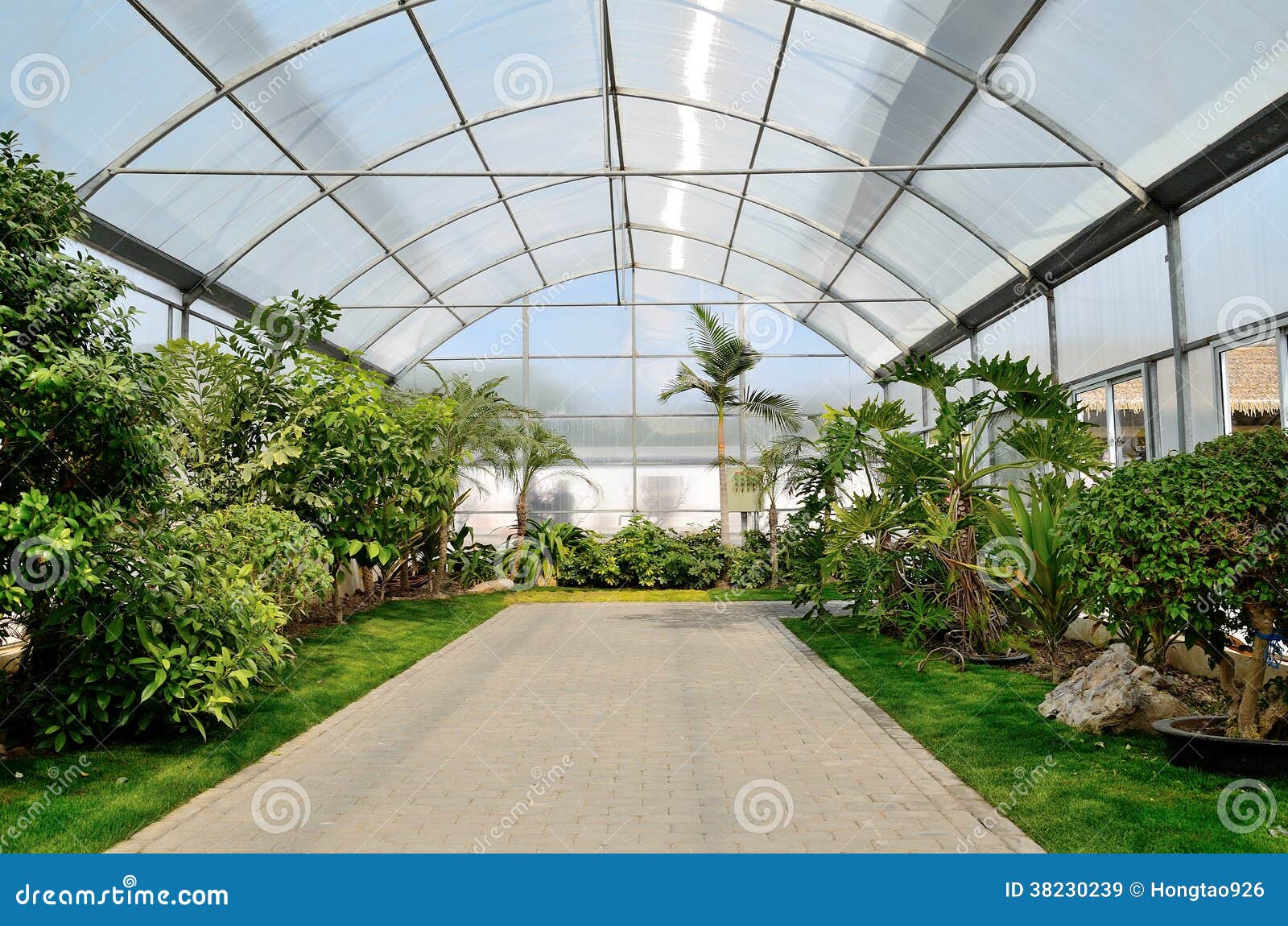 Spring greenhouse stock image. Image of tree, flowers - 38230239