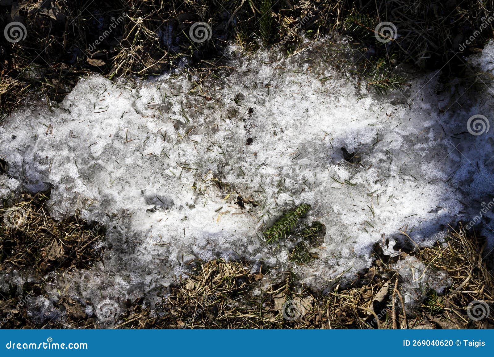 Spring Ground Covered with Thawing Snow Stock Photo - Image of closeup ...