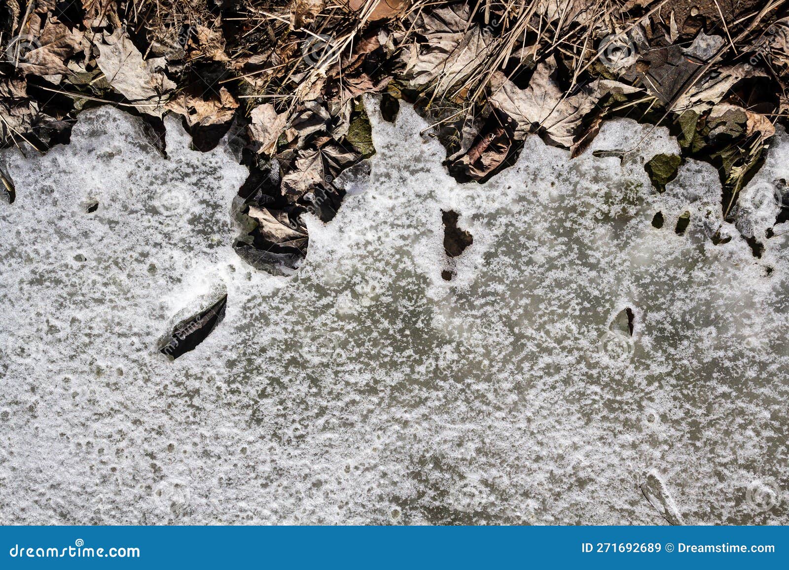 Spring Ground Covered with Thawing Snow Stock Image - Image of season ...