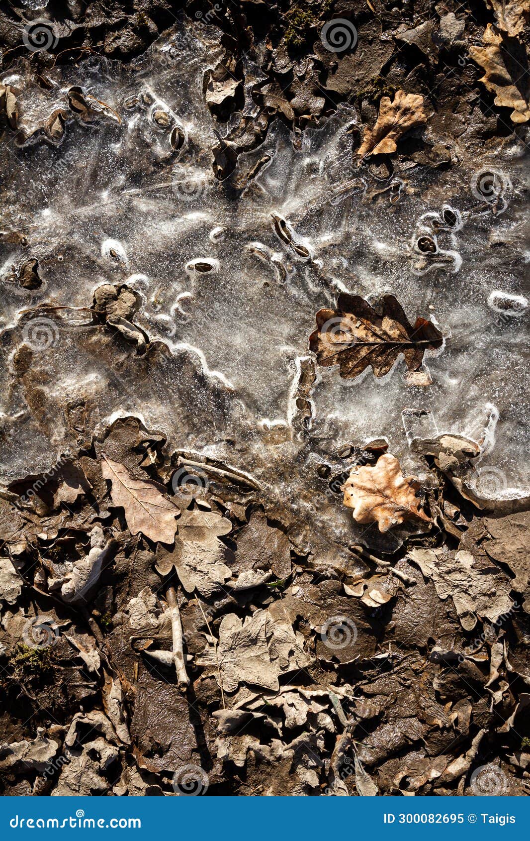 Spring Ground Covered with Thawing Snow Stock Image - Image of abstract ...