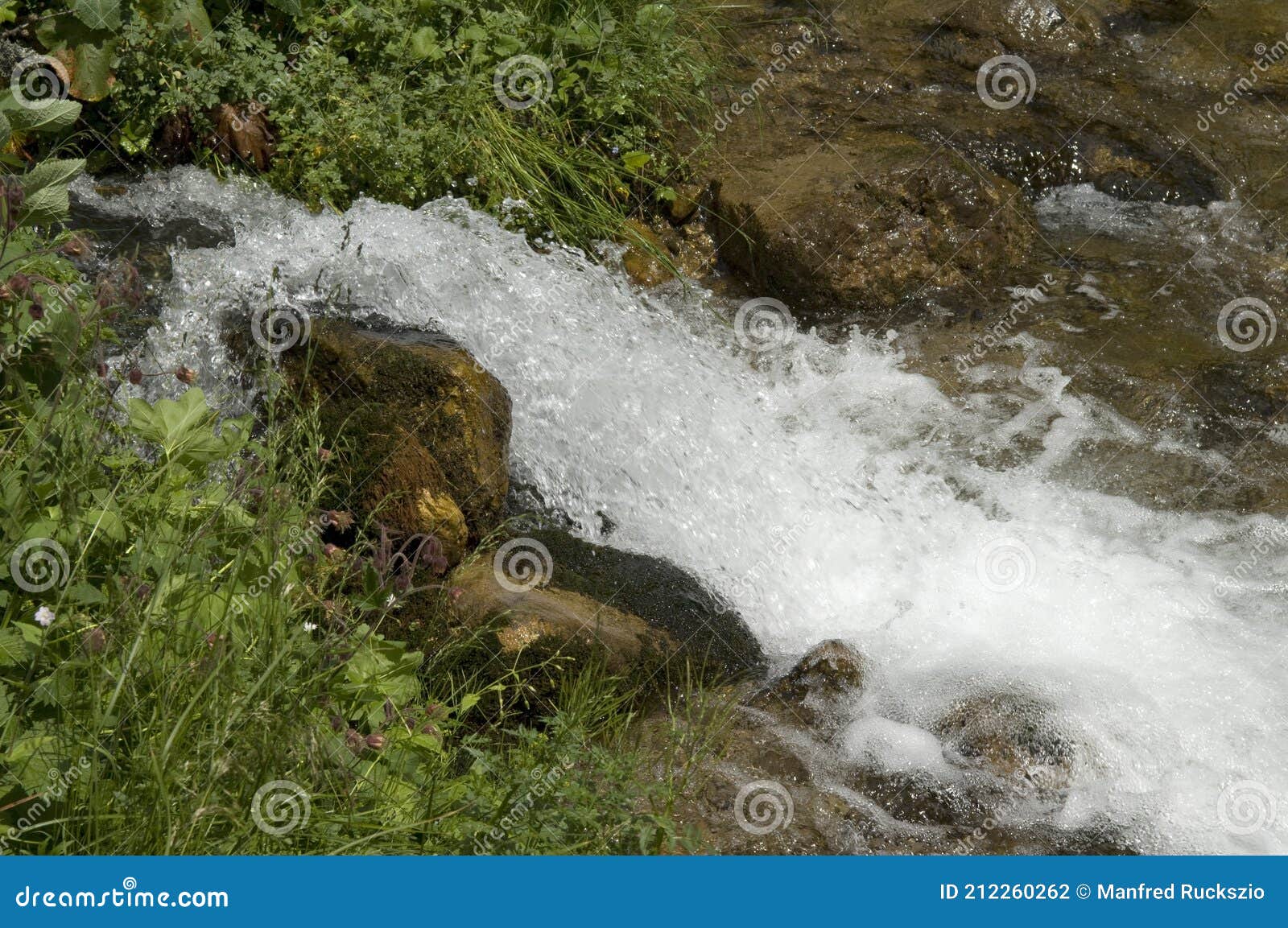 Spring, groundwater stock photo. Image of water, river - 212260262
