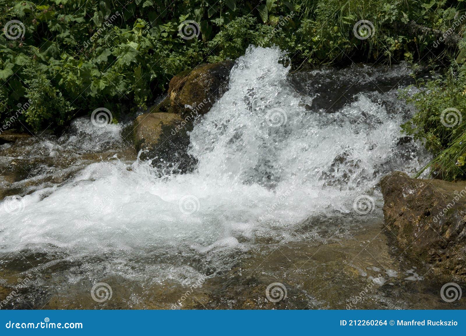 Spring, groundwater stock photo. Image of sources, streams - 212260264