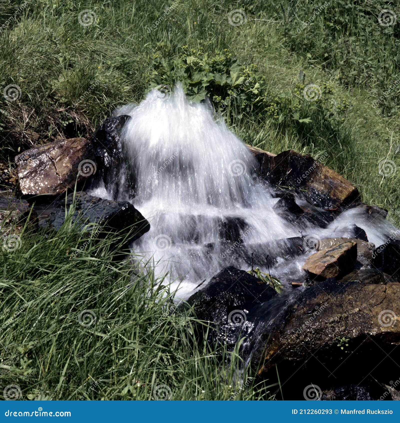 Spring, groundwater stock image. Image of streams, source - 212260293