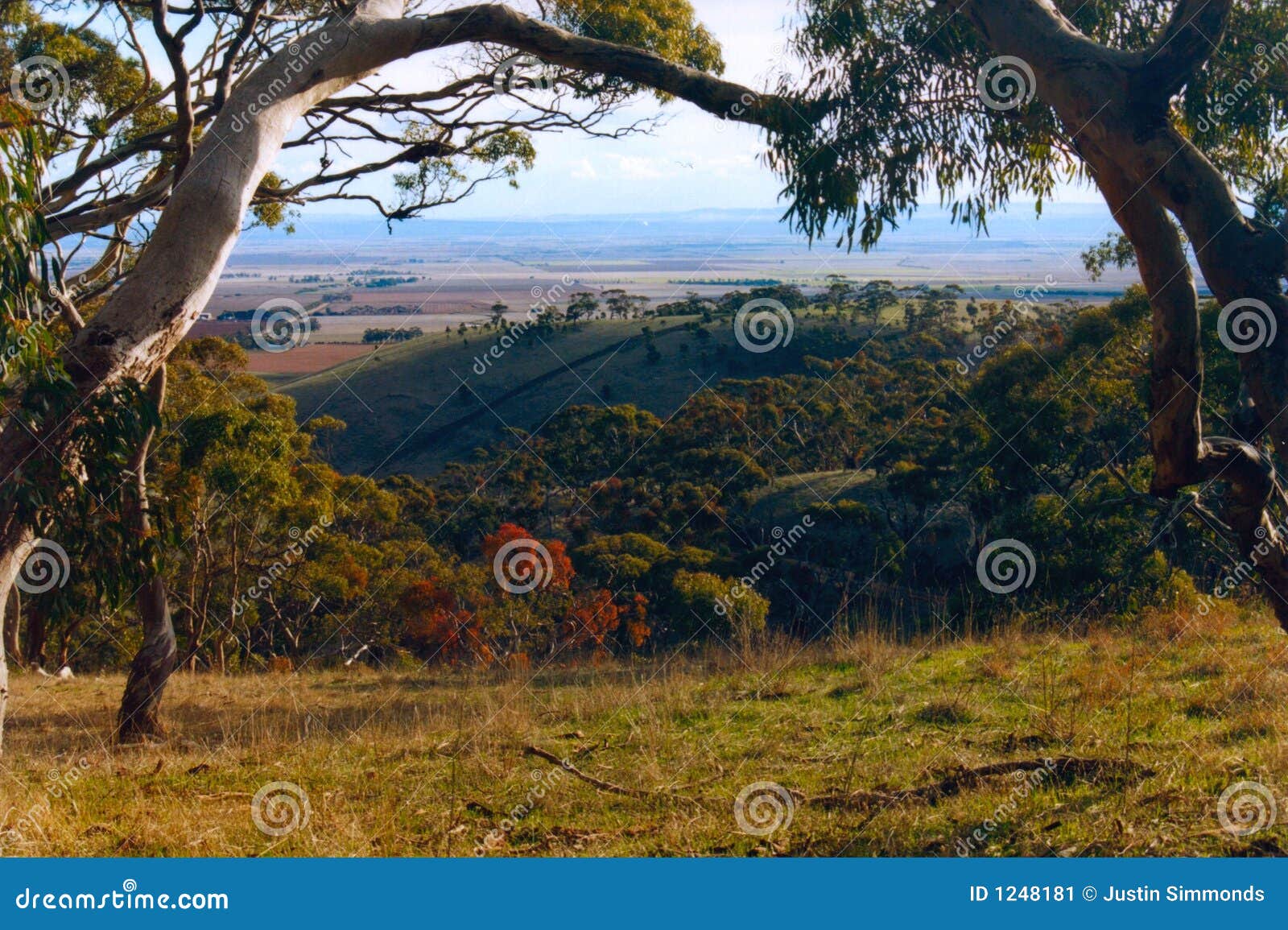 Spring Gully Conservation Park, Australia Stock Image - Image of park ...