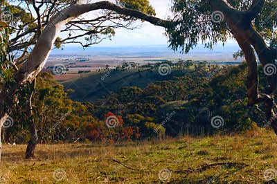 Spring Gully Conservation Park, Australia Stock Image - Image of park ...