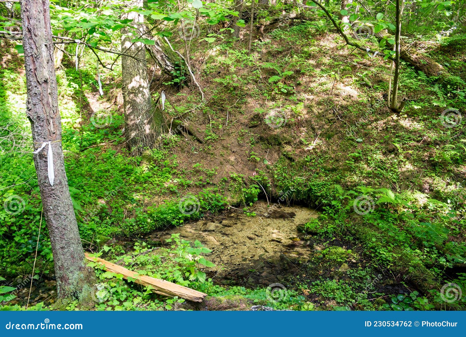 A Spring Gushing Out from Under the Layers of the Earth Stock Photo ...