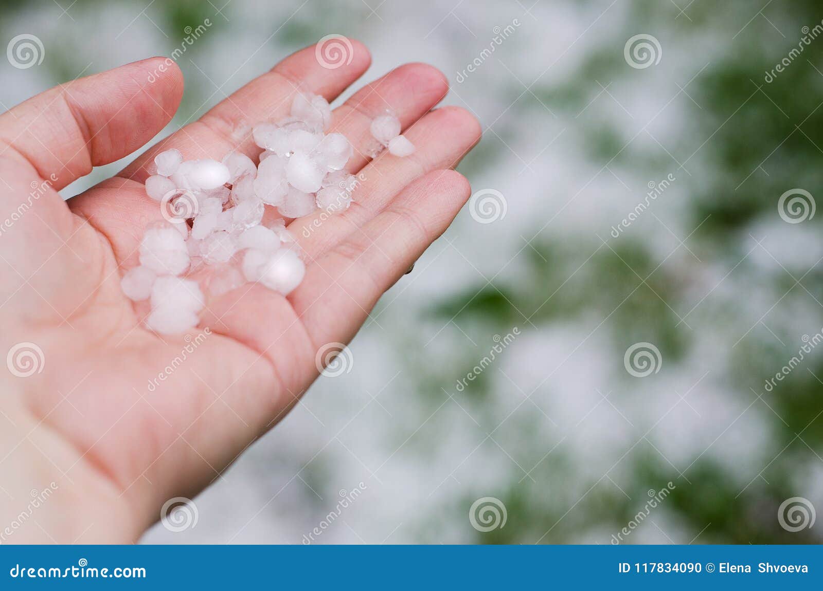 Spring Hail in the Girl`s Hand Stock Photo - Image of hailstorm, danger ...