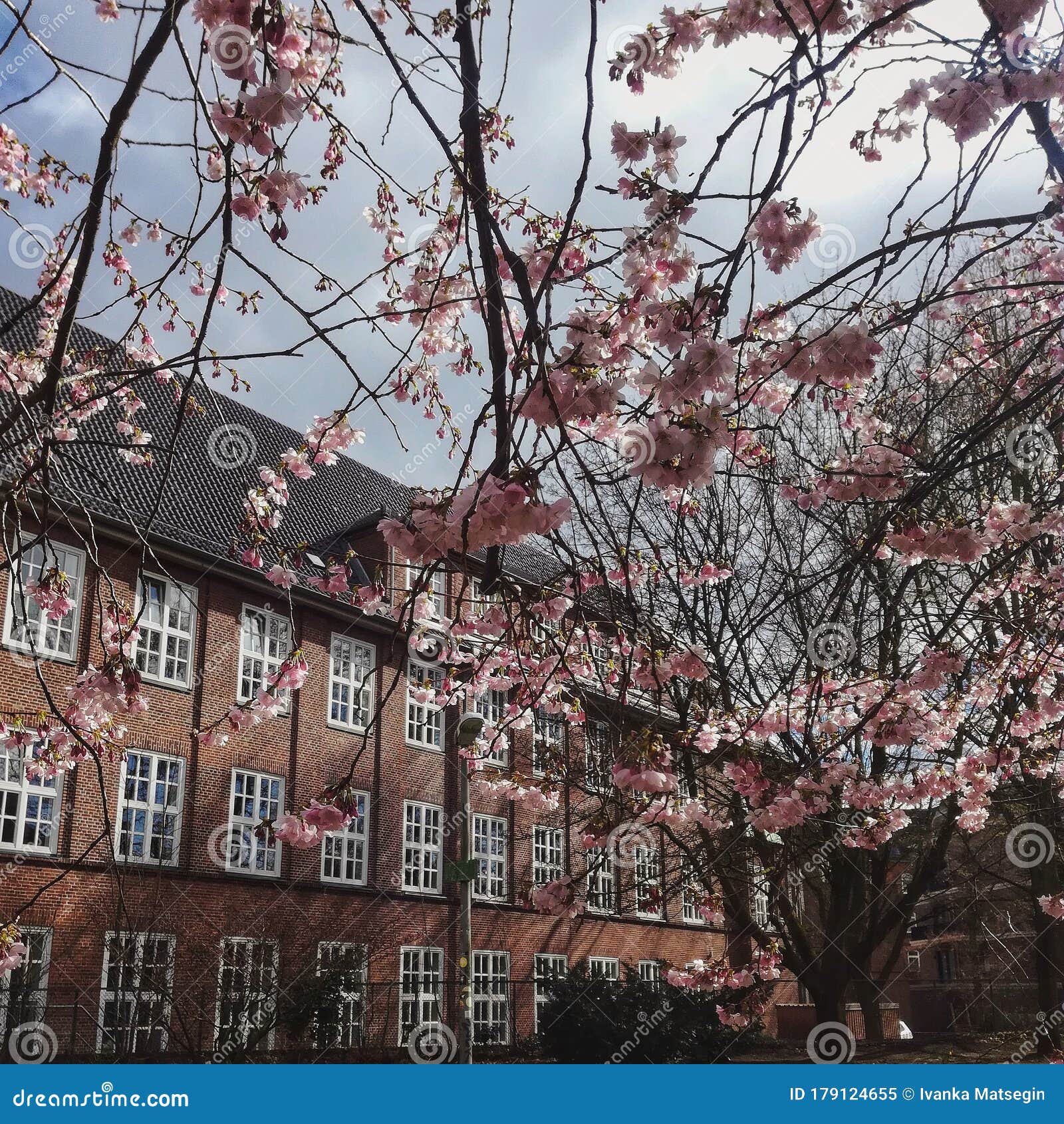 Spring in Hamburg stock image. Image of hamburg, house - 179124655