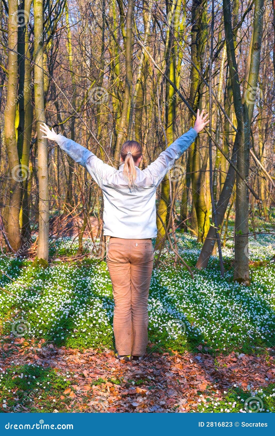 Spring happiness stock image. Image of clad, color, beautiful - 2816823