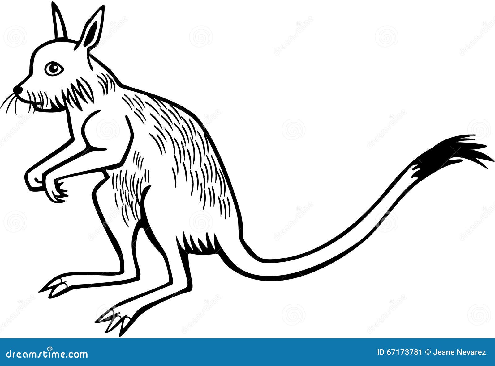 Spring Hare stock vector. Illustration of isolated, animal - 67173781