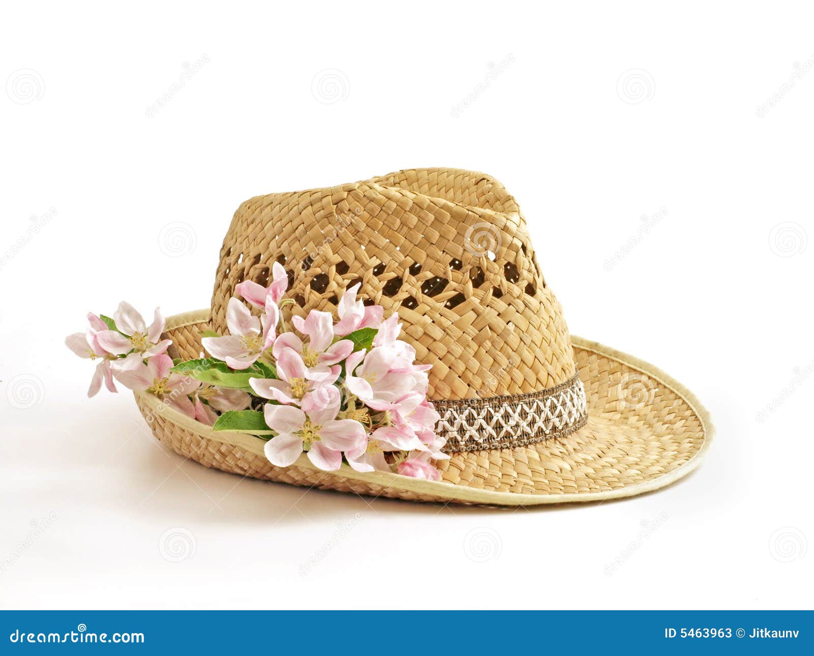 Spring hat stock image. Image of smell, attractive, flower - 5463963